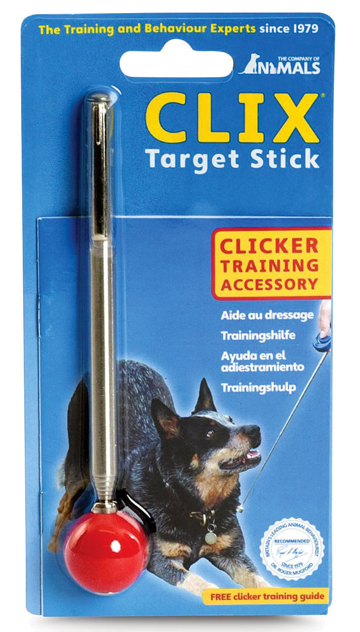 What Is Targeting In Dog Training