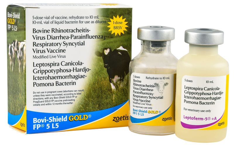 Bovi-Shield Gold® FP® 5 L5 Vaccine for Cattle - Jeffers