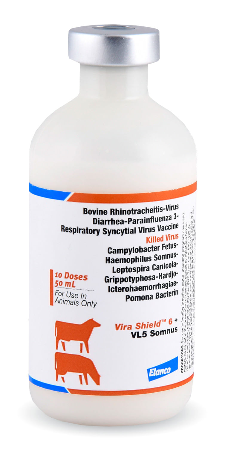 Vira Shield® 6+VL5 Somnus Vaccine for Cattle - Jeffers