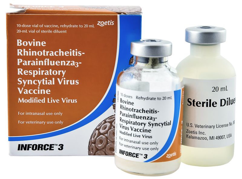 INFORCE 3 Cattle Vaccine for Respiratory Disease - Jeffers