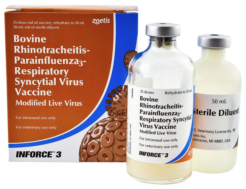 INFORCE 3 Cattle Vaccine for Respiratory Disease - Jeffers