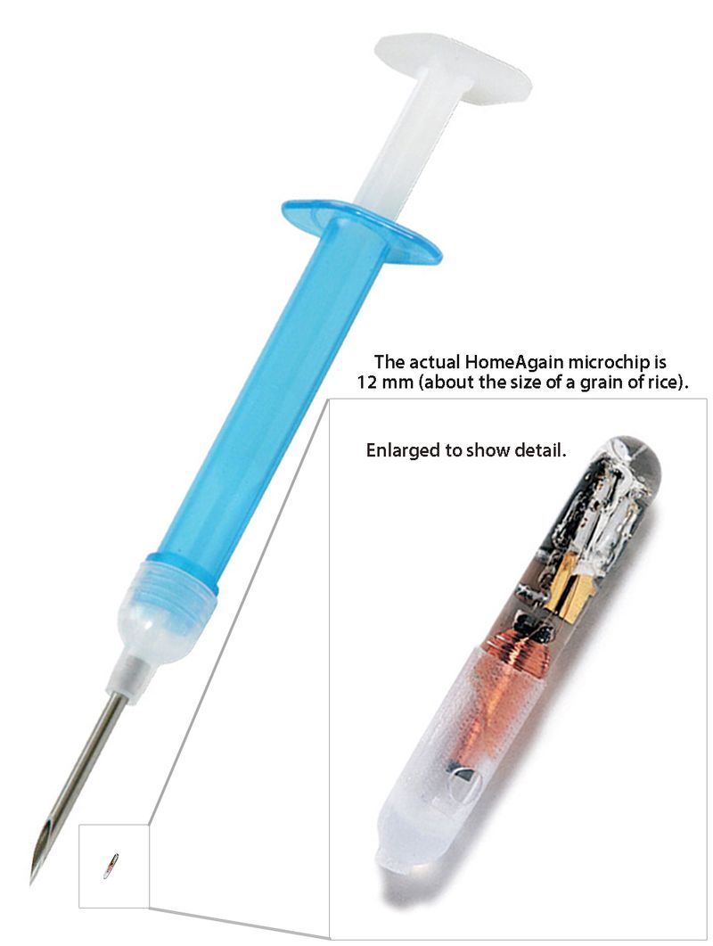 HomeAgain Pet Recovery System - Jeffers