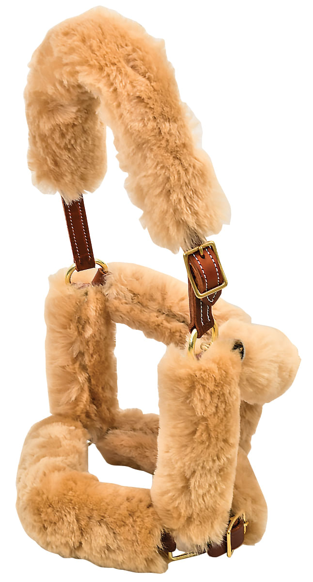 9 Piece Merino Sheepskin Halter Set Jeffers