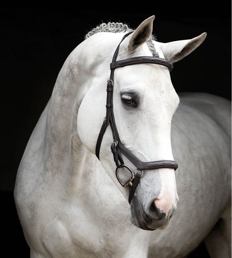 Rambo Micklem Deluxe Competition Bridle, Dark Havana - Jeffers