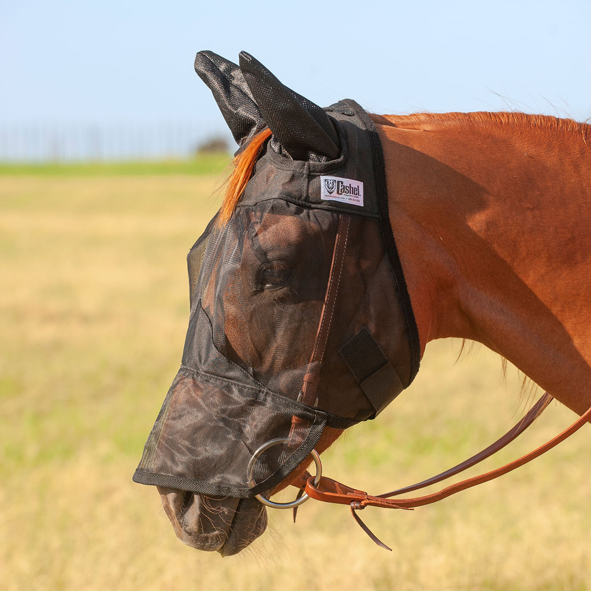 Quiet Ride Fly Mask w/ Ears & Long Nose in Black - Jeffers