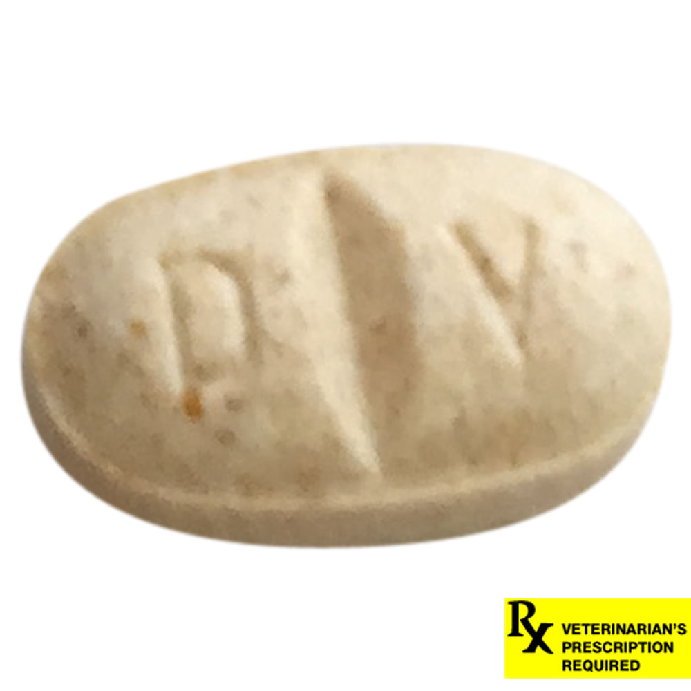 RX Clomicalm Tablets - Jeffers