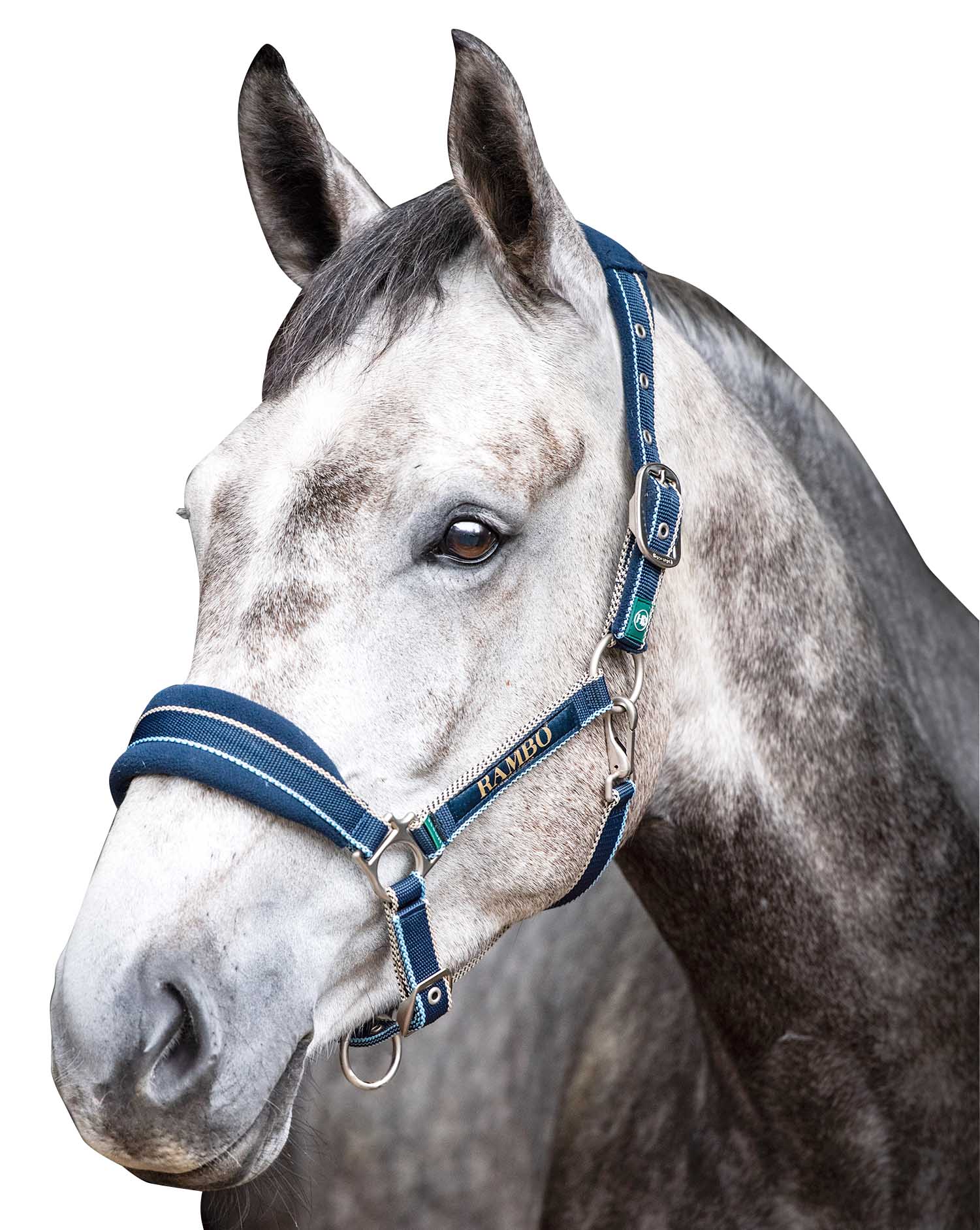 Rambo Padded Halter, Witney Navy - Jeffers