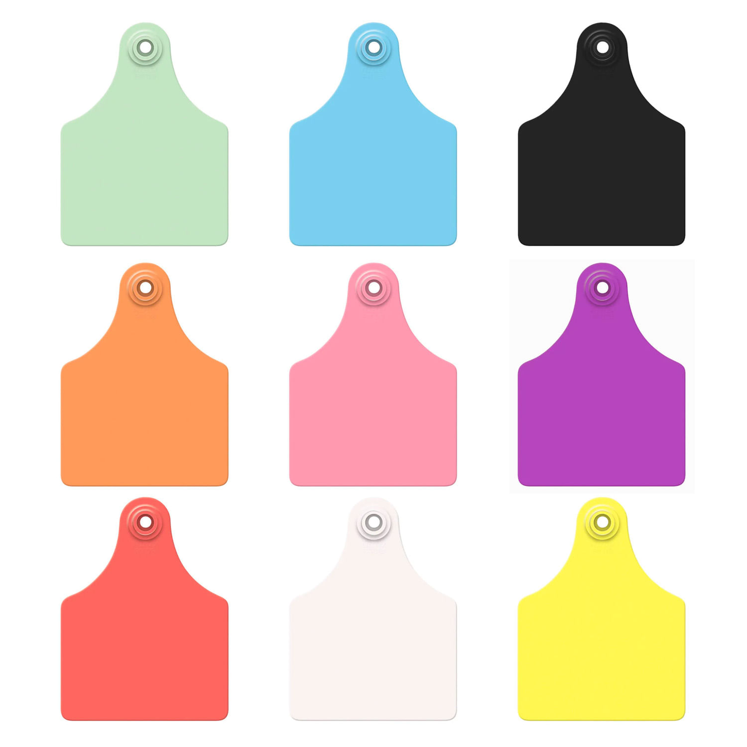 Special Order Blank Allflex Global Maxi Tags - Jeffers