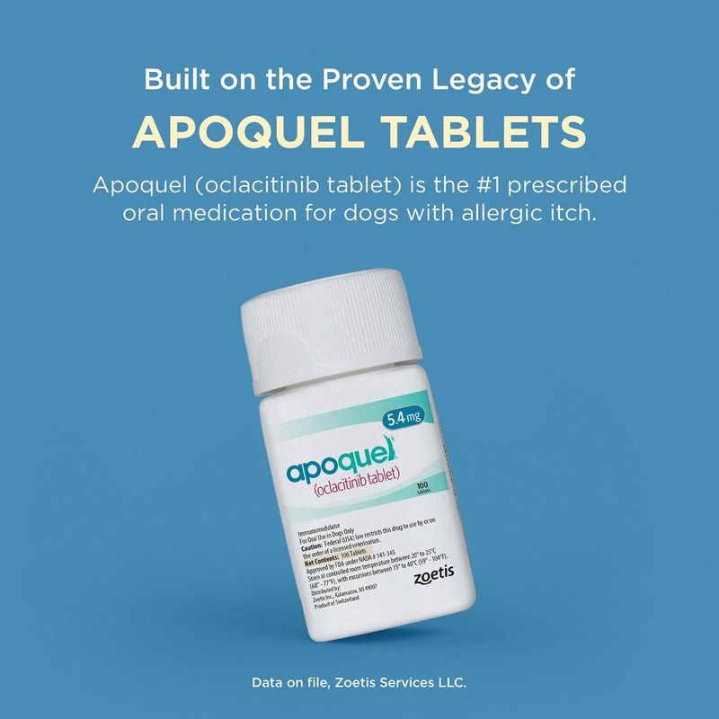 Apoquel Chewable Tablets for Dogs - Jeffers