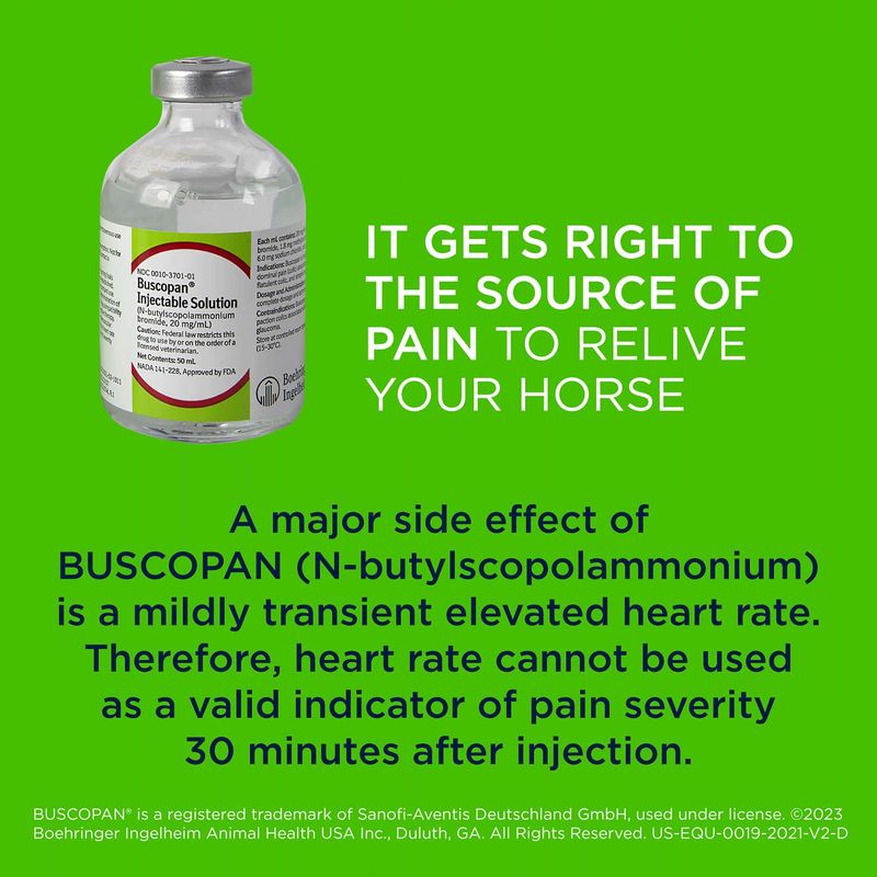Buscopan Injectable Solution for Horses - Jeffers